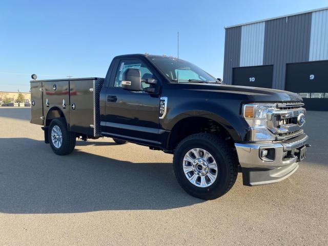 Work Ready Trucks | Work Ready DP